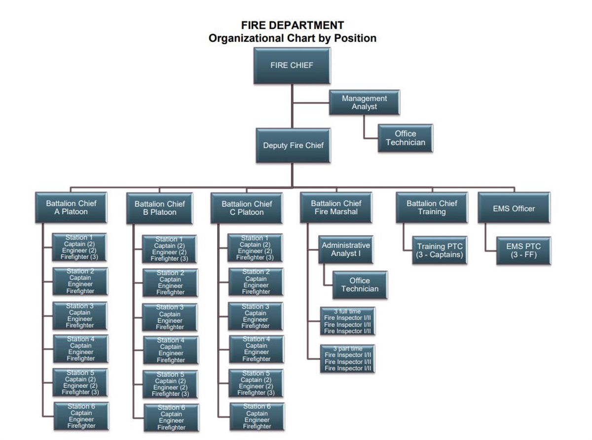 Fire Department Organizational Chart Template Word